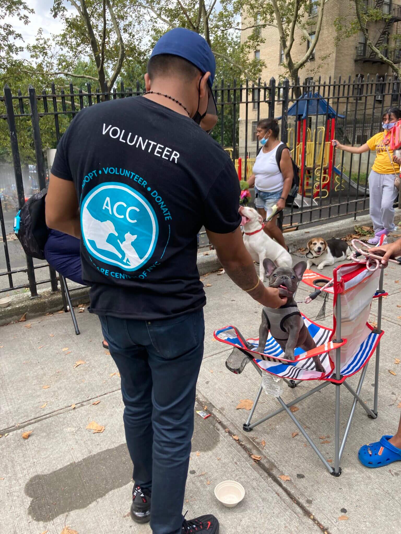 Volunteer Requirements - Animal Care Centers of NYC