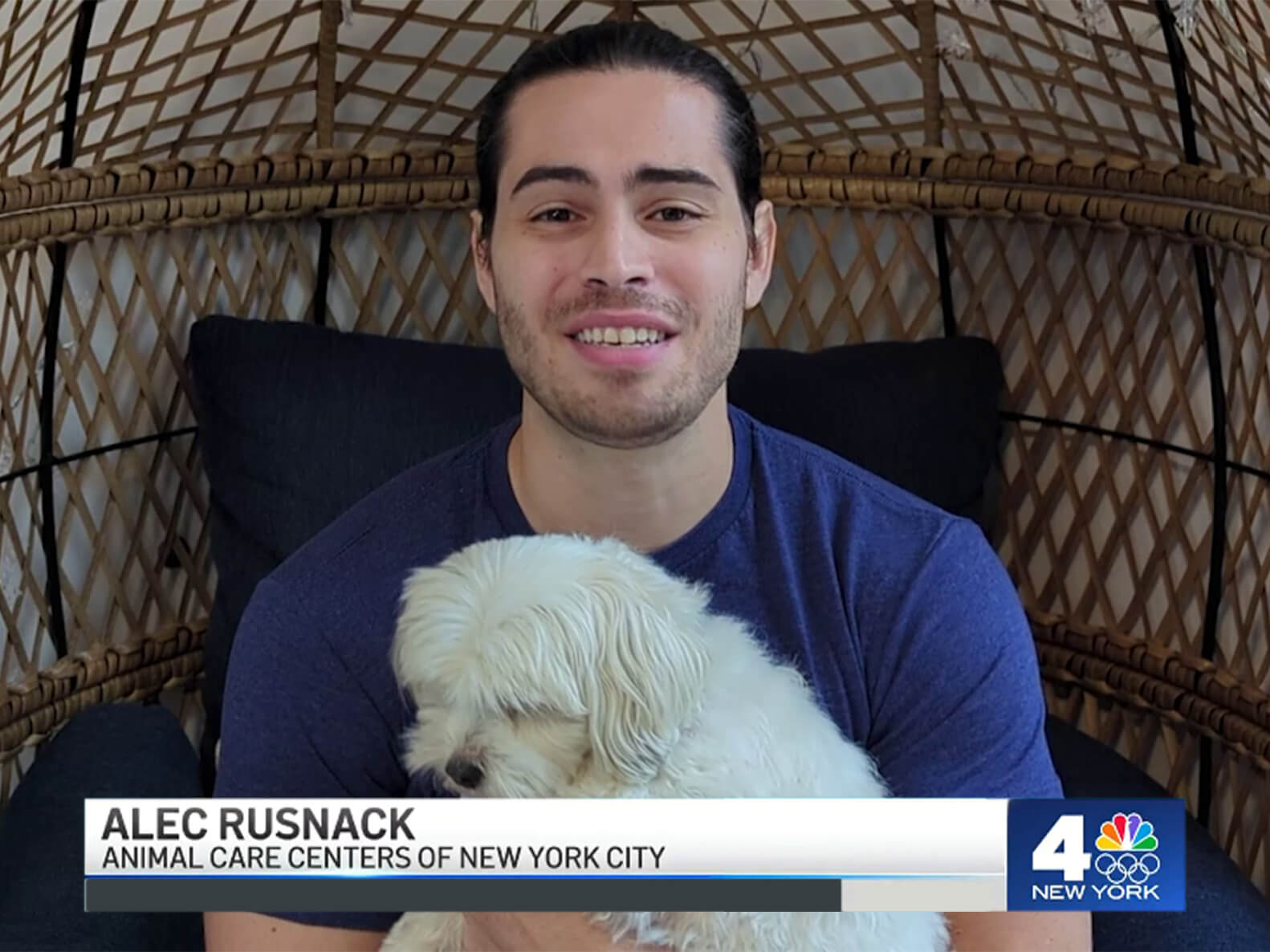 ACC on NBC | Animal Care Centers of NYC