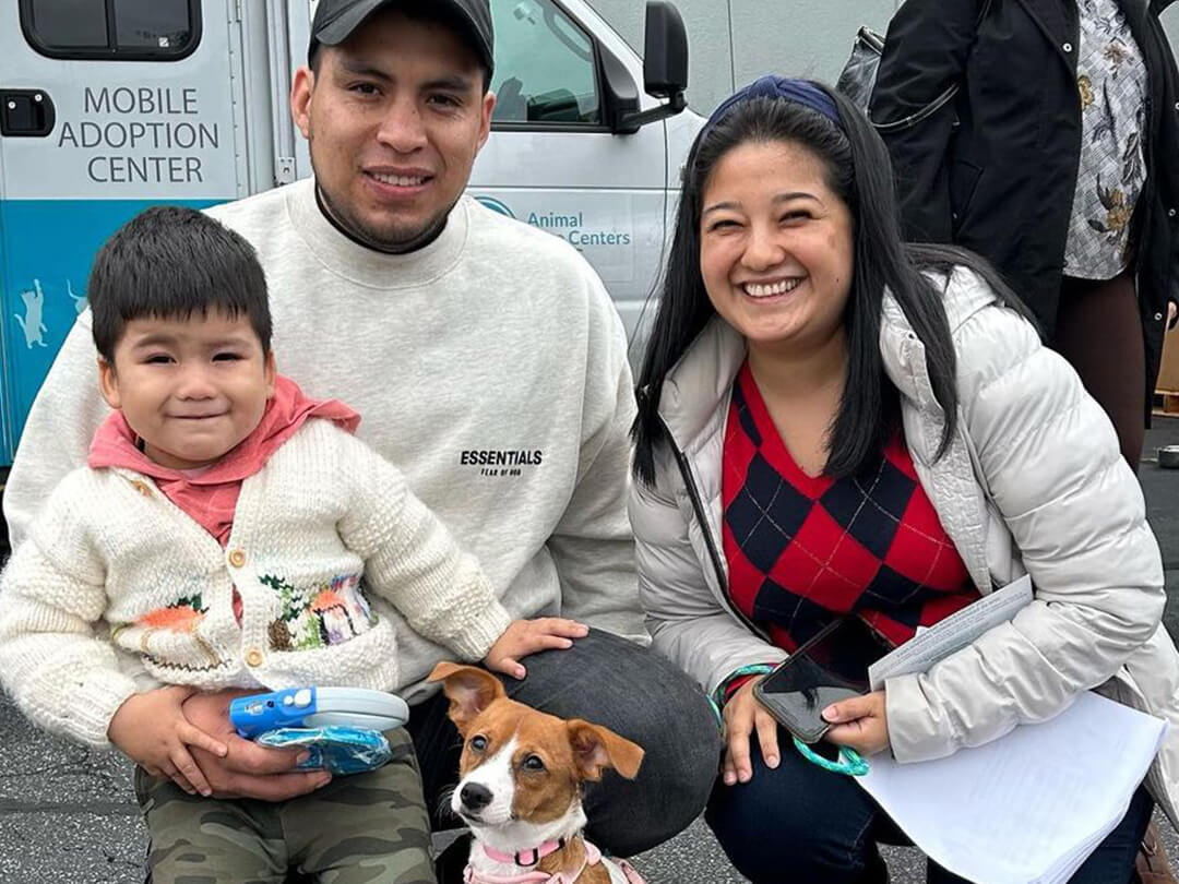 Adoption Events in NYC | Animal Care Centers of NYC