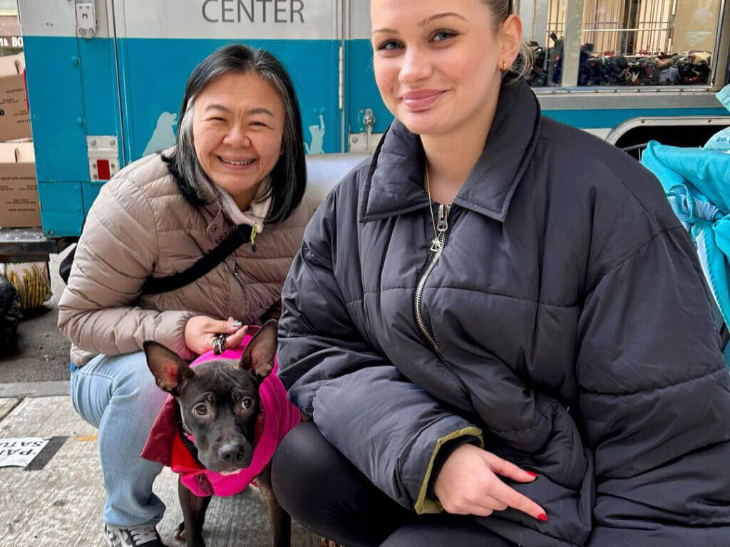 Adoption Events in NYC | Animal Care Centers of NYC