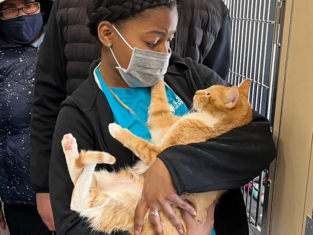Adoption Events in NYC | Animal Care Centers of NYC