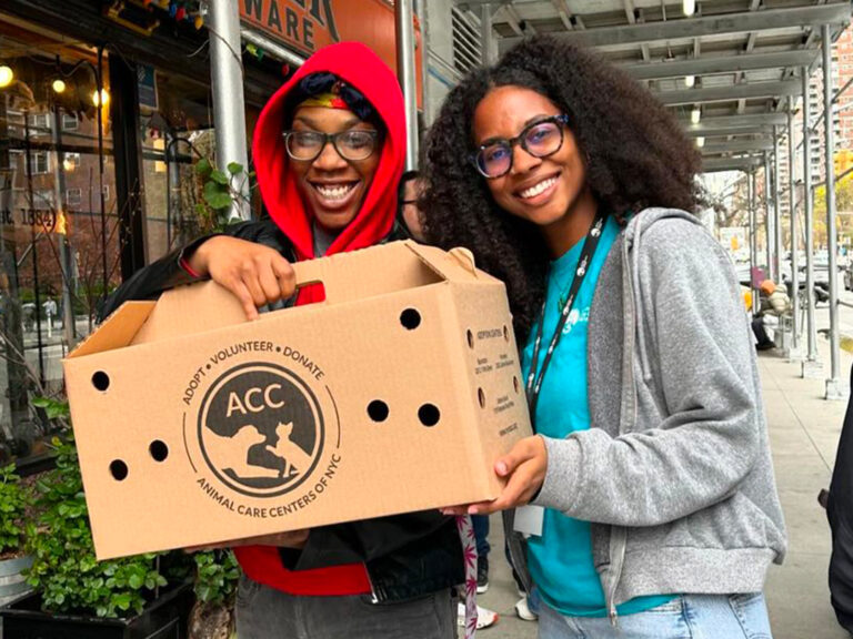 Adoption Events in NYC | Animal Care Centers of NYC