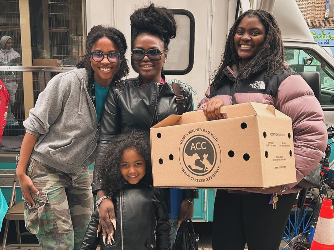 Adoption Events in NYC | Animal Care Centers of NYC